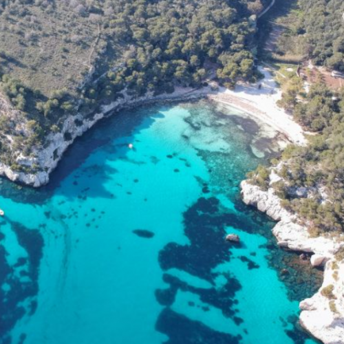 Discover the seabed of Menorca | BiniParadise